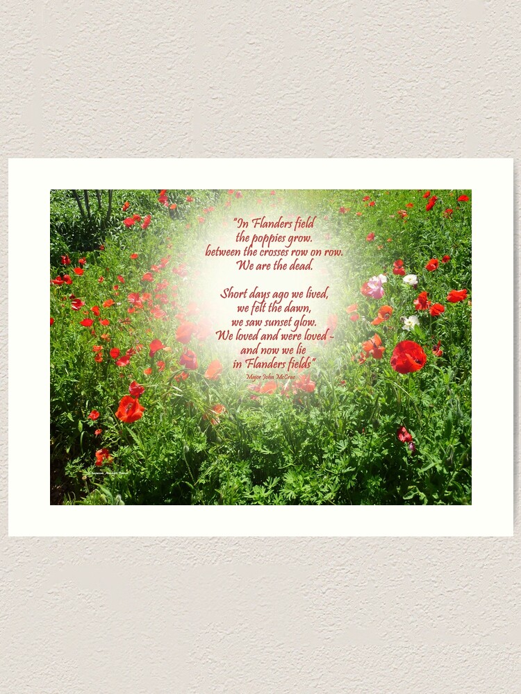 "In Flanders Fields" Art Print by Vaengi | Redbubble