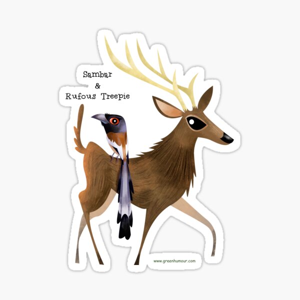 "Sambar and Rufous Treepie" Sticker for Sale by rohanchak | Redbubble