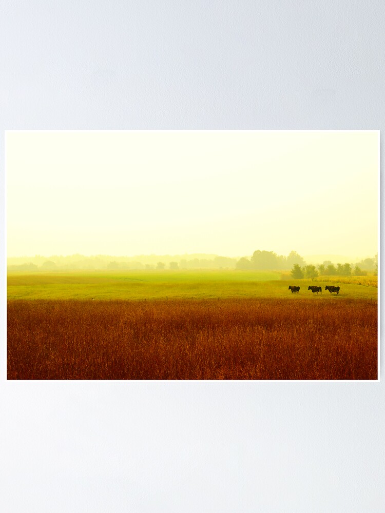 "three is not a crowd" Poster for Sale by Aimelle | Redbubble
