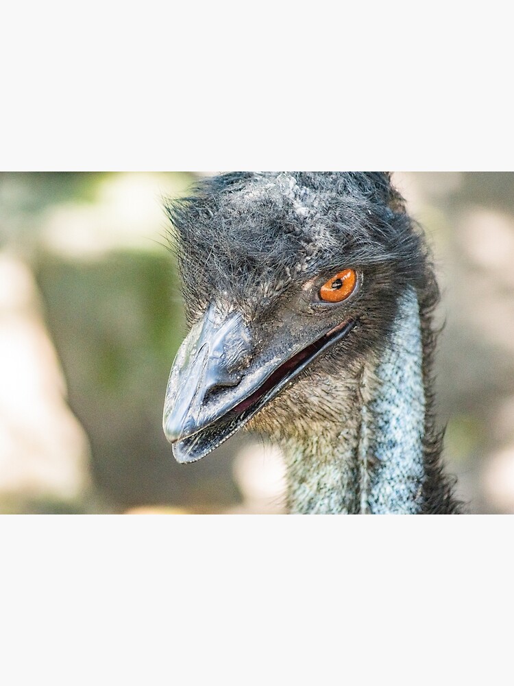"Headshot of a Emu" Art Print by KensLensDesigns | Redbubble