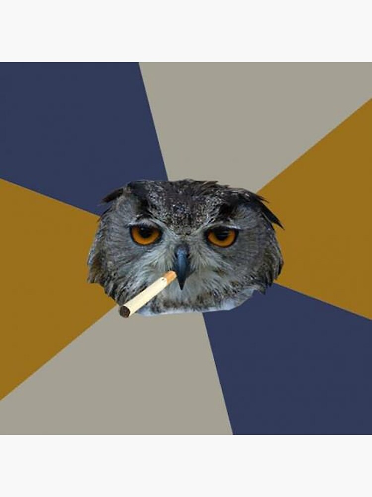 Artistic Owl Memes