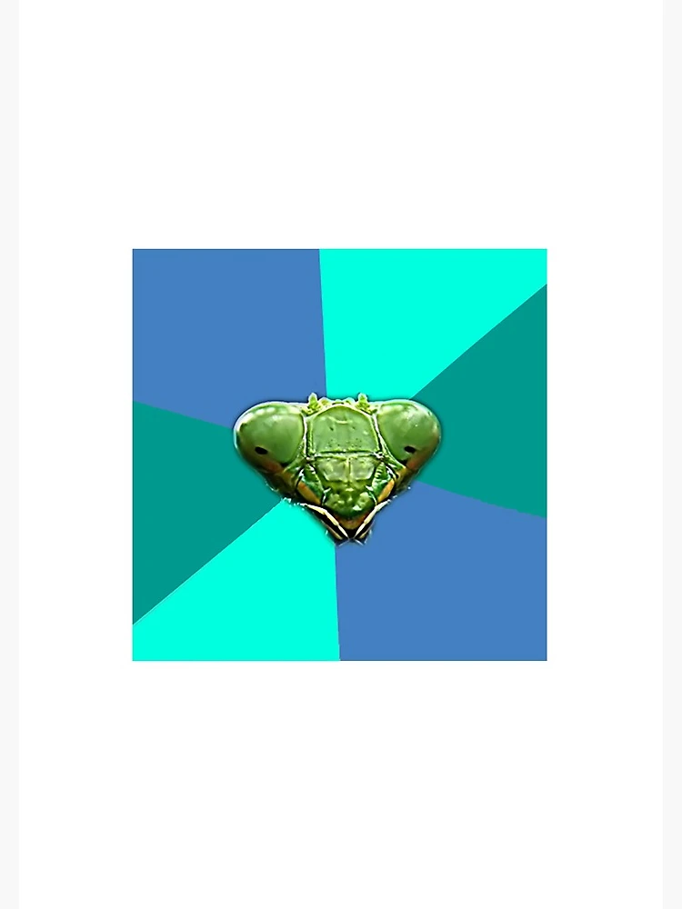 Mantis Girlfriend Memes Praying Mantis' Sticker | Spreadshirt