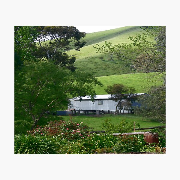 Shearing Shed Wall Art | Redbubble