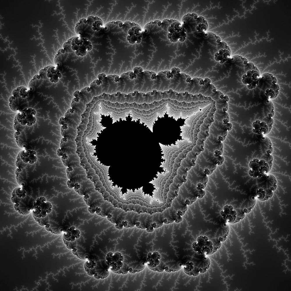 "Fractal Mandelbrot Set black and white" by mhfoto | Redbubble