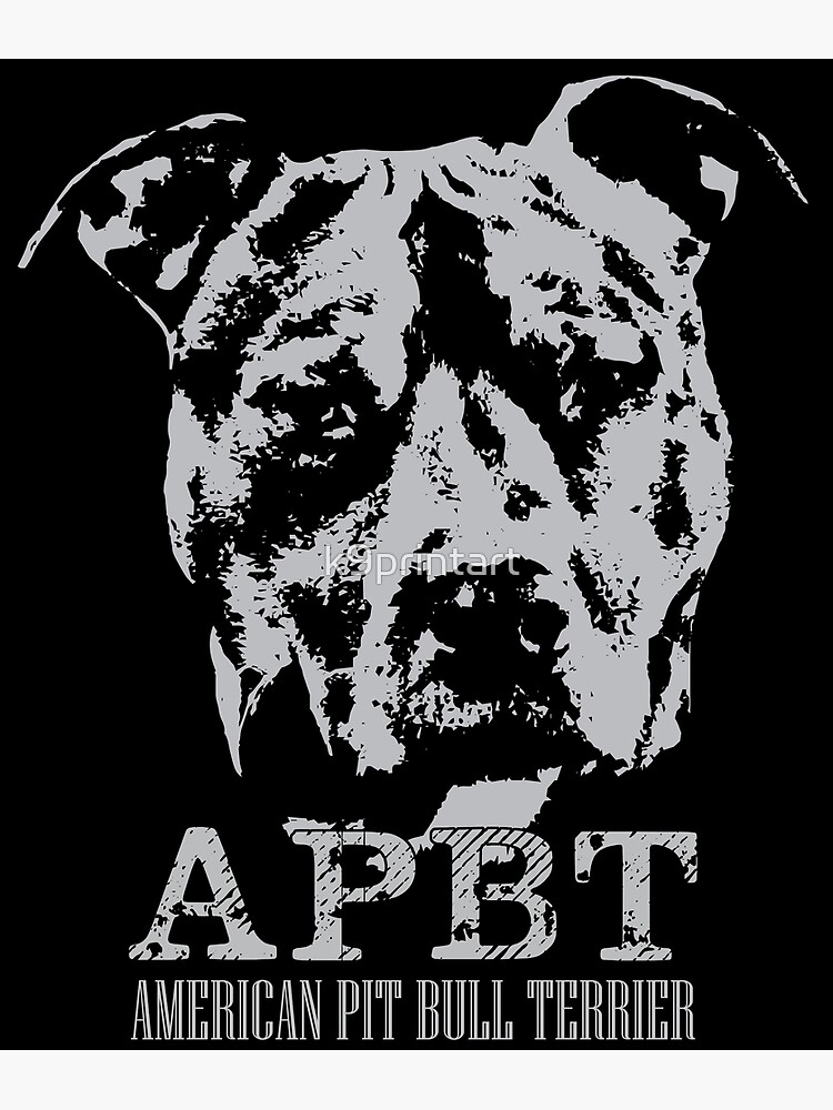 Apbt Logo