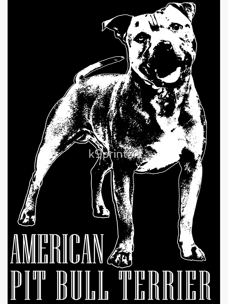 "American Pit Bull Terrier - APBT" Poster by k9printart | Redbubble