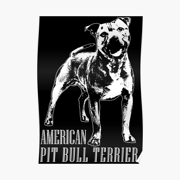 "American Pit Bull Terrier - APBT" Poster by k9printart | Redbubble