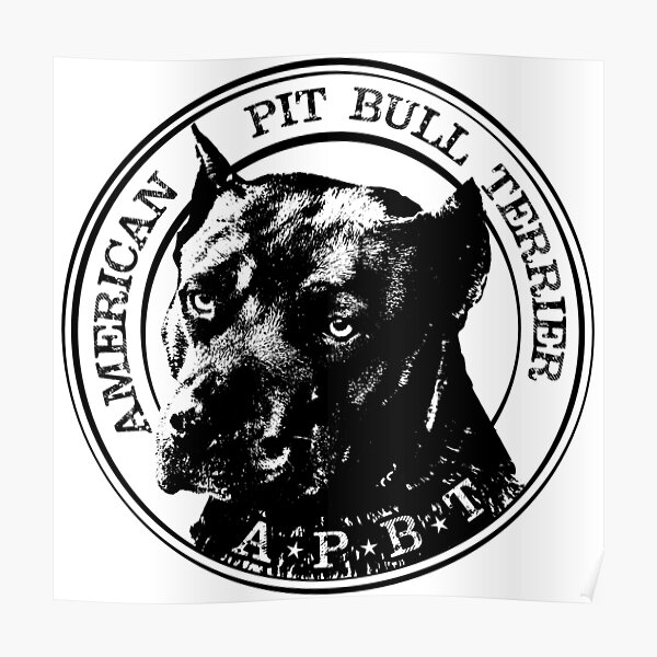 "American Pit Bull Terrier - APBT" Poster by k9printart | Redbubble