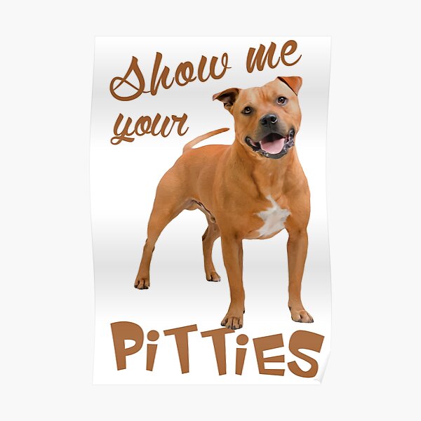 "American Pit Bull Terrier - APBT" Poster by k9printart | Redbubble