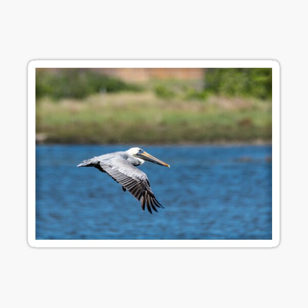 Just Passing Through Stickers | Redbubble