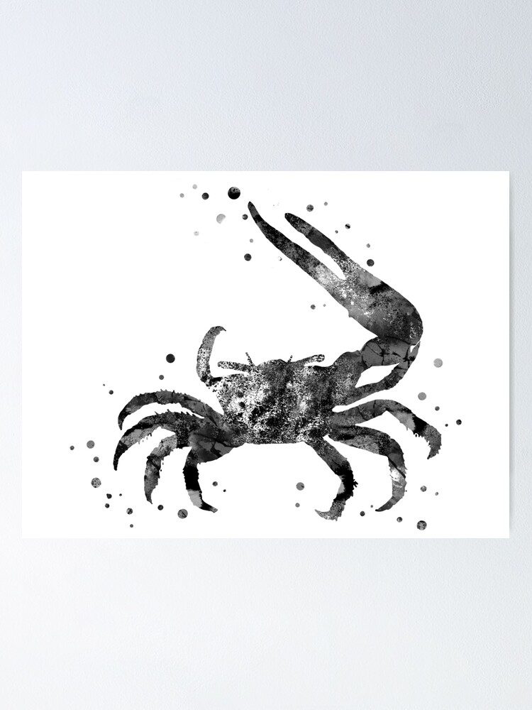 "Fiddler crab, watercolor Fiddler crab" Poster for Sale by ...