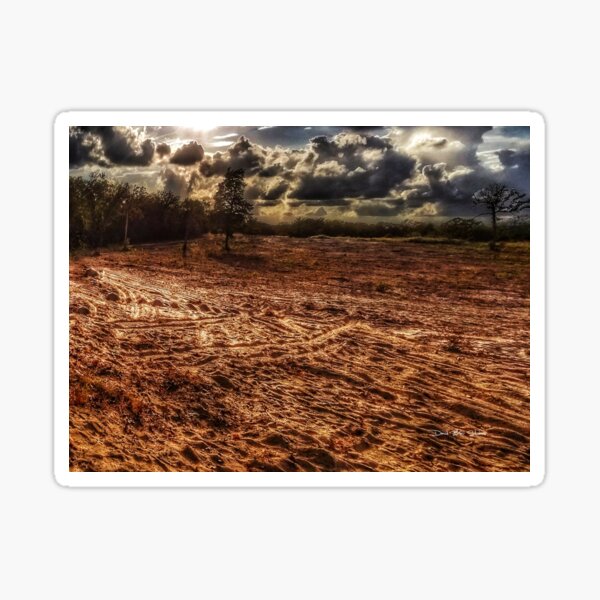 "Texas Sand Box" Sticker for Sale by davidbstudios | Redbubble