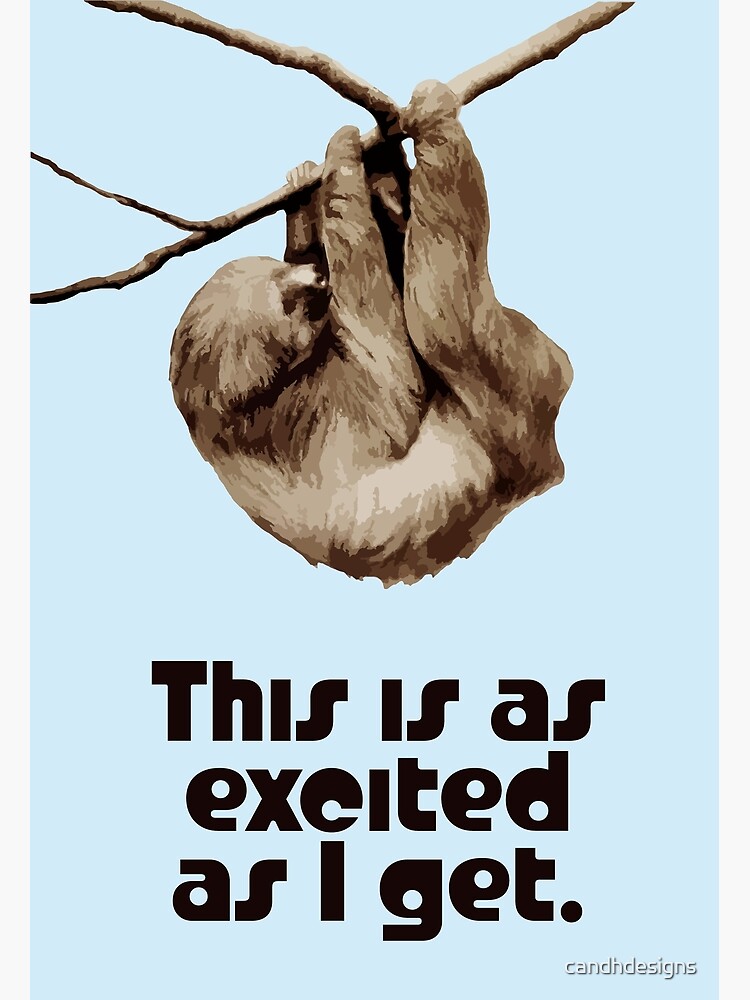 "Excited Sloth" Art Print by candhdesigns | Redbubble