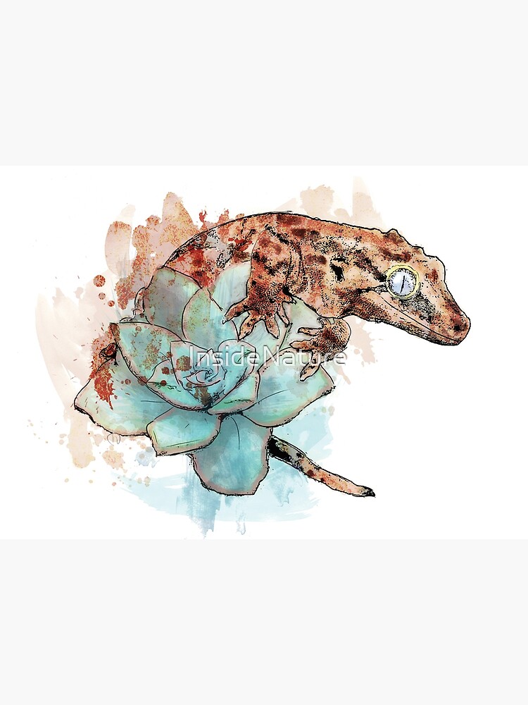 "Gargoyle Gecko on Succulent" Art Print for Sale by InsideNature ...