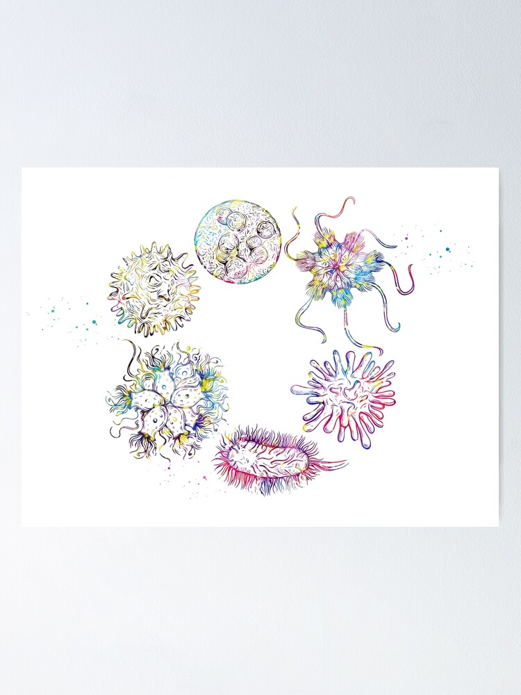 " Human viruses and microbes" Poster for Sale by erzebetth | Redbubble
