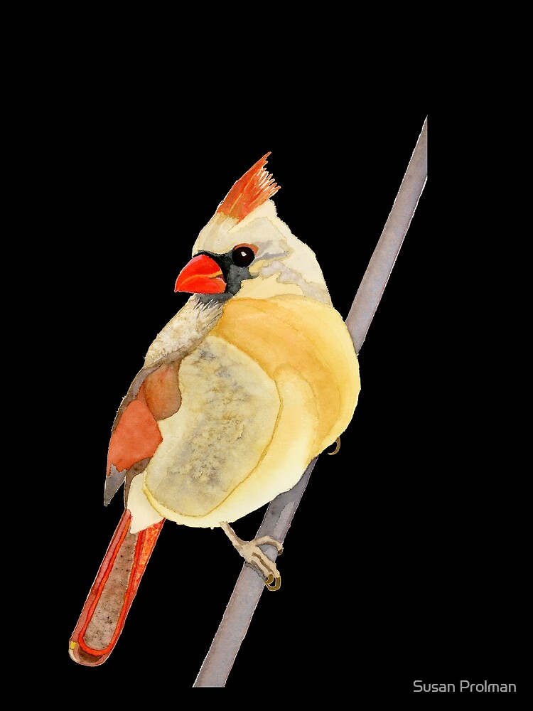 "FEMALE CARDINAL - Yellow, Red, & Orange Watercolor Design" Sleeveless ...