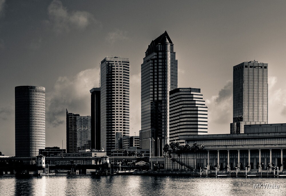 "City of Tampa Skyline HDR Duotone Experience" by MKWhite | Redbubble