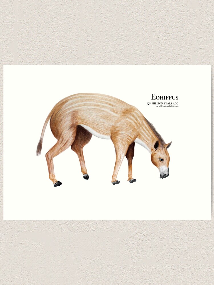 "Eohippus" Art Print for Sale by Artworkbyjoe | Redbubble