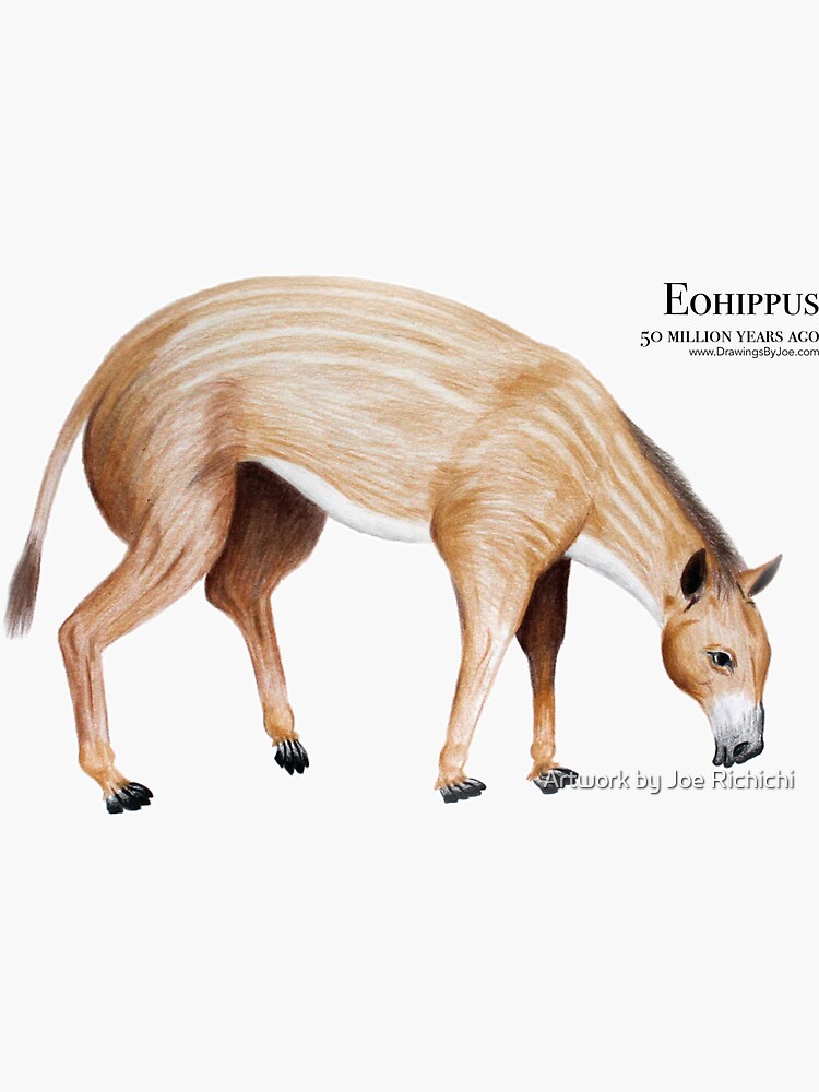 "Eohippus" Sticker for Sale by Artworkbyjoe | Redbubble