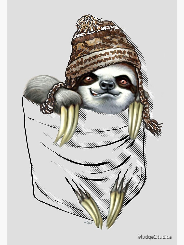 "Chillin Pocket Sloth With Winter Beanie" Art Print for Sale by ...