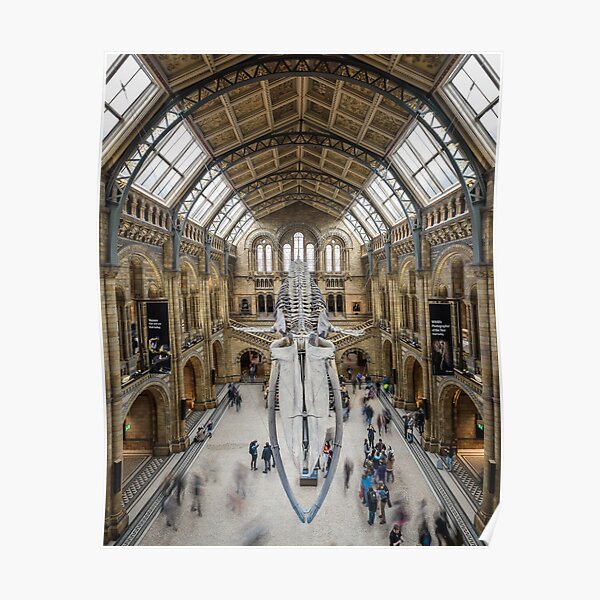 Natural History Museum Posters | Redbubble