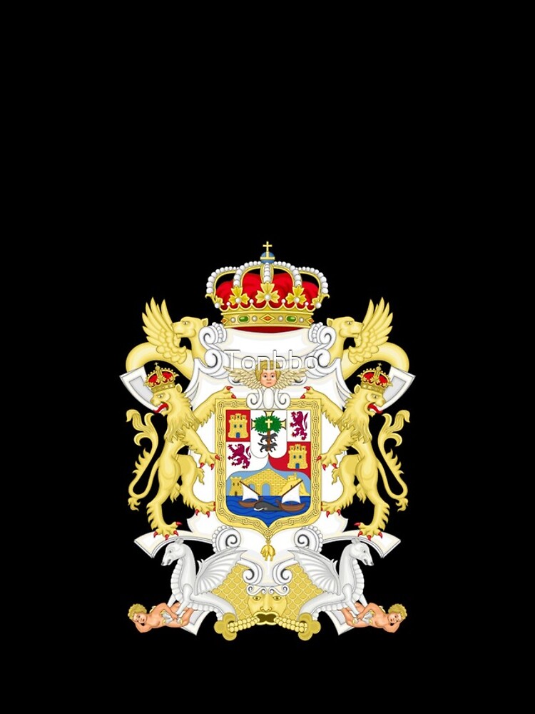 "Coat of Arms of Castro Urdiales, Spain" iPhone Case for Sale by Tonbbo ...