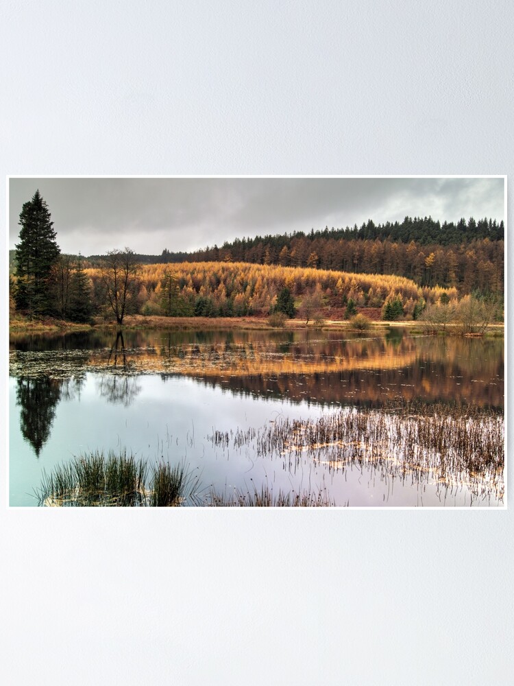 "A Tarn in Grizedale" Poster by VoluntaryRanger | Redbubble