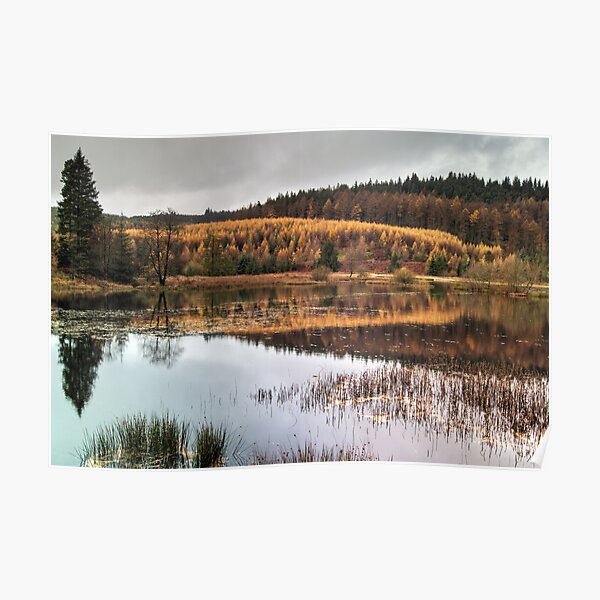 "A Tarn in Grizedale" Poster by VoluntaryRanger | Redbubble
