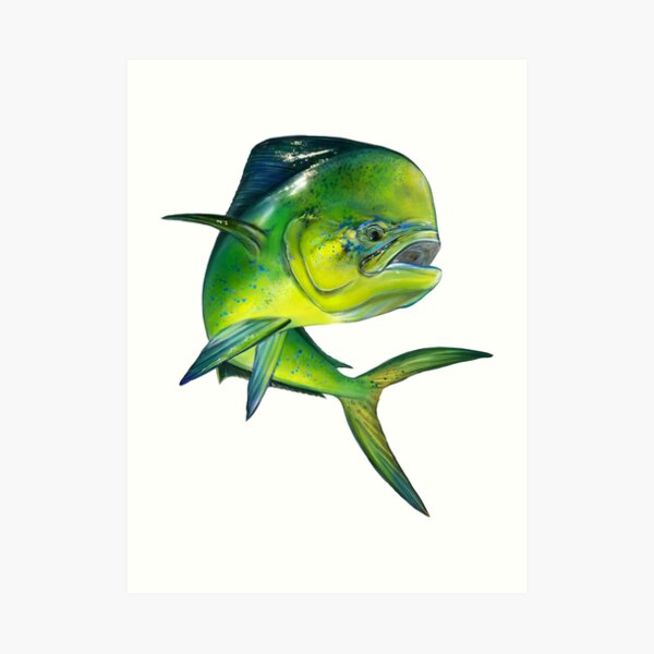 "Jumping Mahi" Art Print for Sale by William Lee | Redbubble