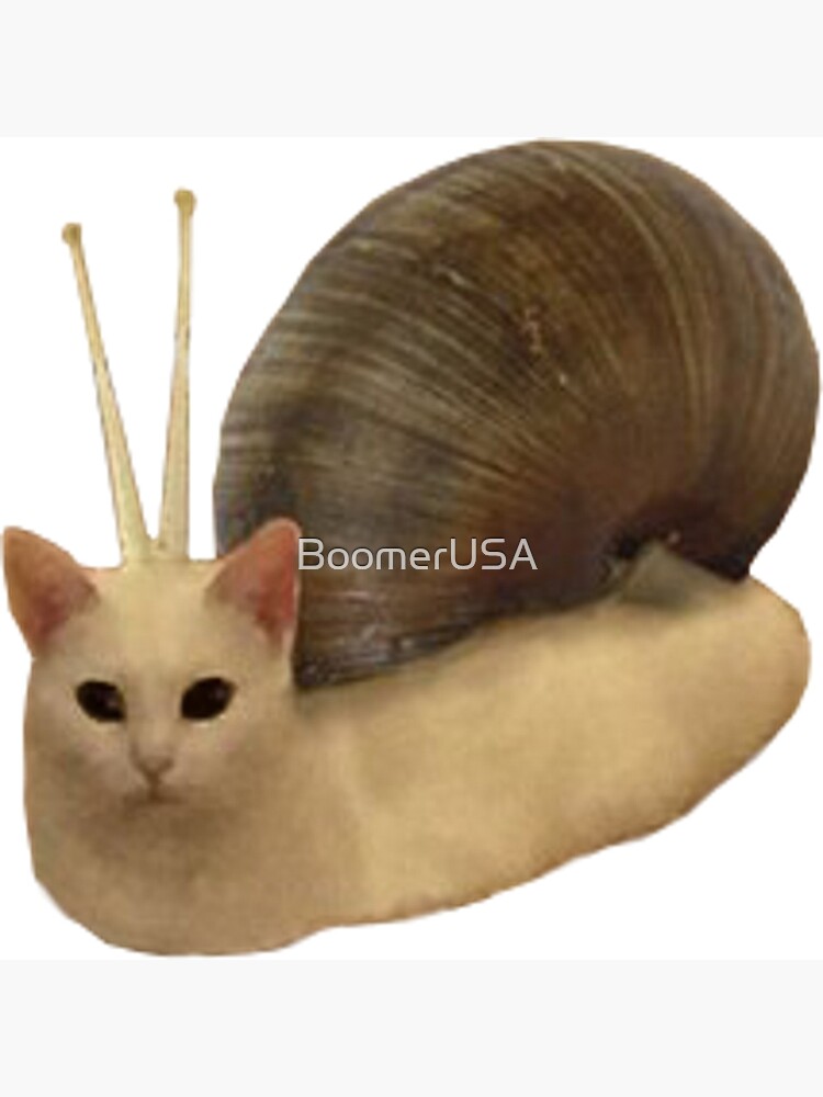"Cat Snail" Poster for Sale by BoomerUSA | Redbubble