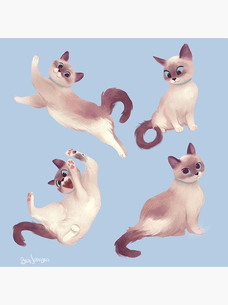 "Baby Coconut Cat" Art Print for Sale by bevsi | Redbubble