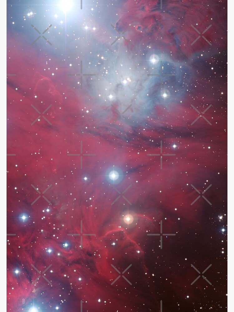 Cuaderno de espiral «Cúmulo de árboles de Navidad y nebulosa de ...