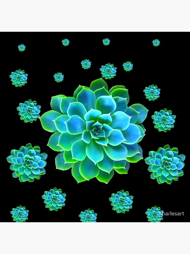 " BLACK MODERN ART TURQUOISE BLUE SUCCULENTS " Poster by sharlesart ...