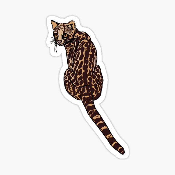 "Margay" Sticker for Sale by GraceT26 | Redbubble