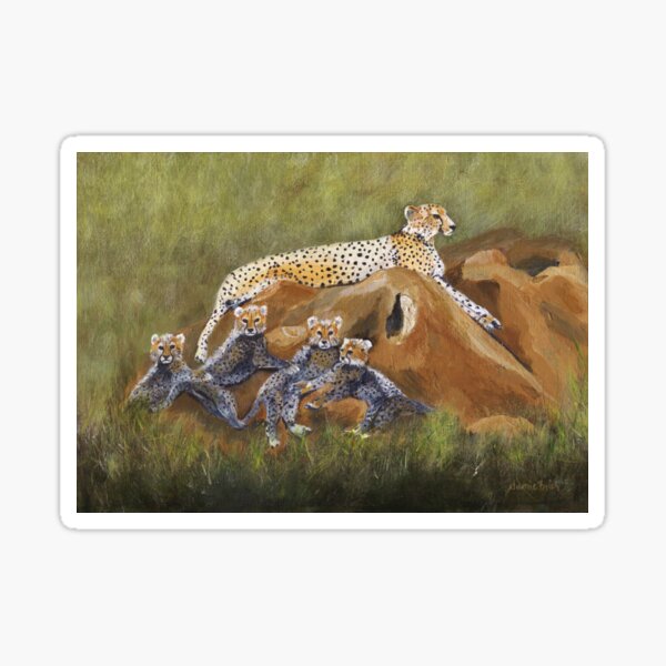 "Cheetahs" Sticker for Sale by jfrier | Redbubble
