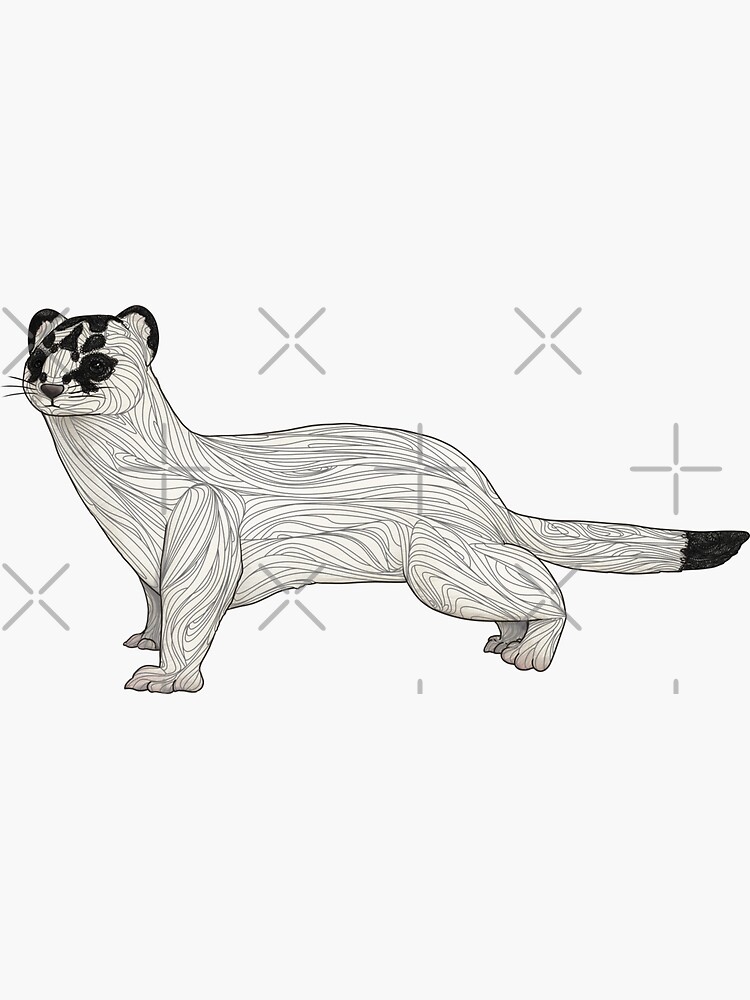 "Weasel" Sticker for Sale by BRGproductions | Redbubble