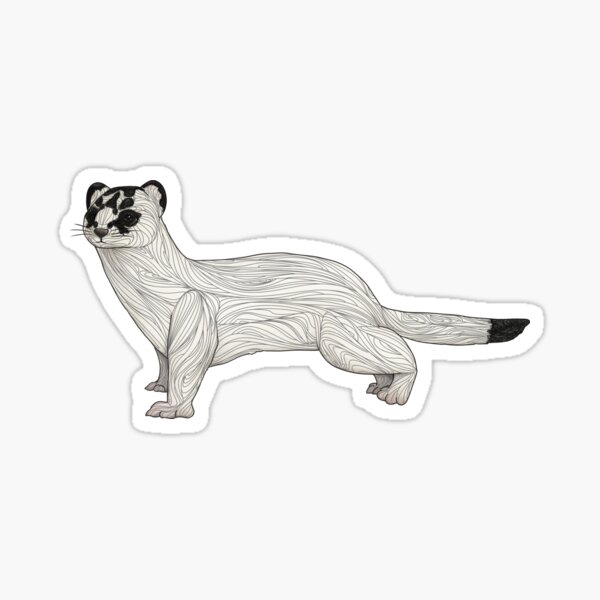 "Weasel" Sticker for Sale by BRGproductions | Redbubble