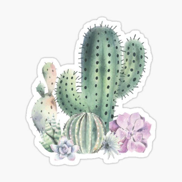 "Watercolor Cacti" Sticker by NorthMerchCo | Redbubble