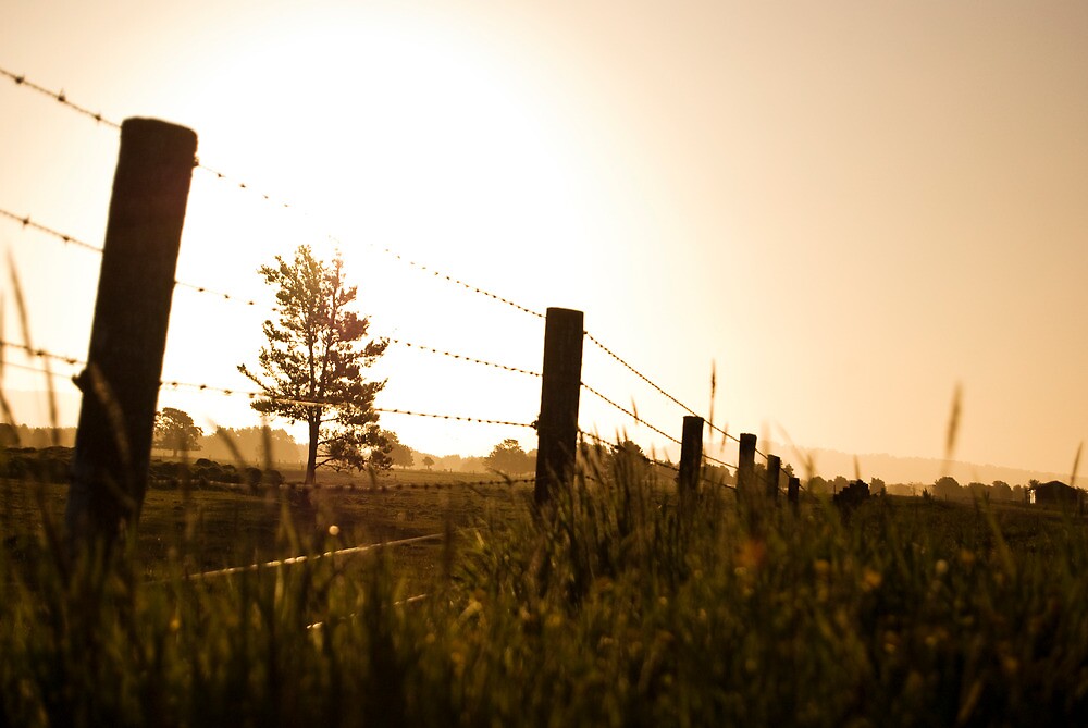 "Paddock at Sunset, New Zealand" by Anthony and Kelly Rae | Redbubble