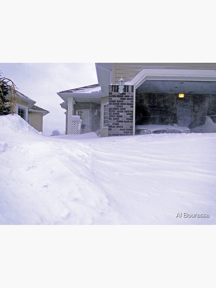 "Snowstorm" Poster by ABPhotoArt | Redbubble