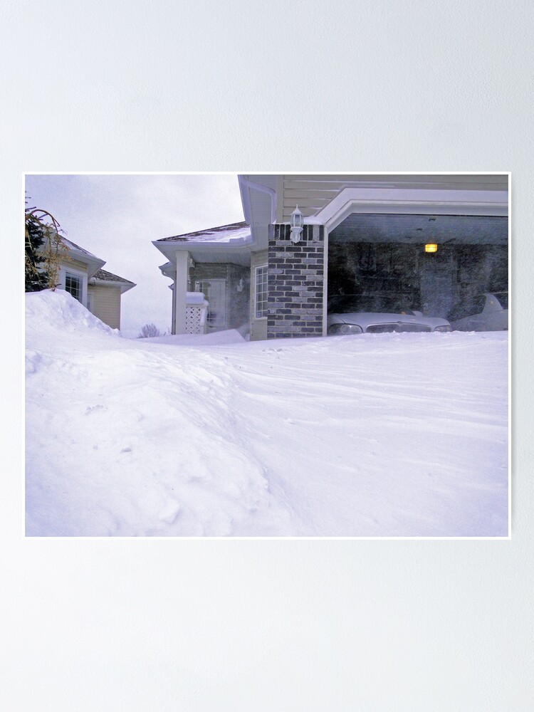 "Snowstorm" Poster by ABPhotoArt | Redbubble