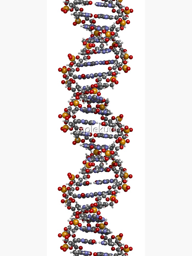 "DNA structure" Poster by molekuul | Redbubble