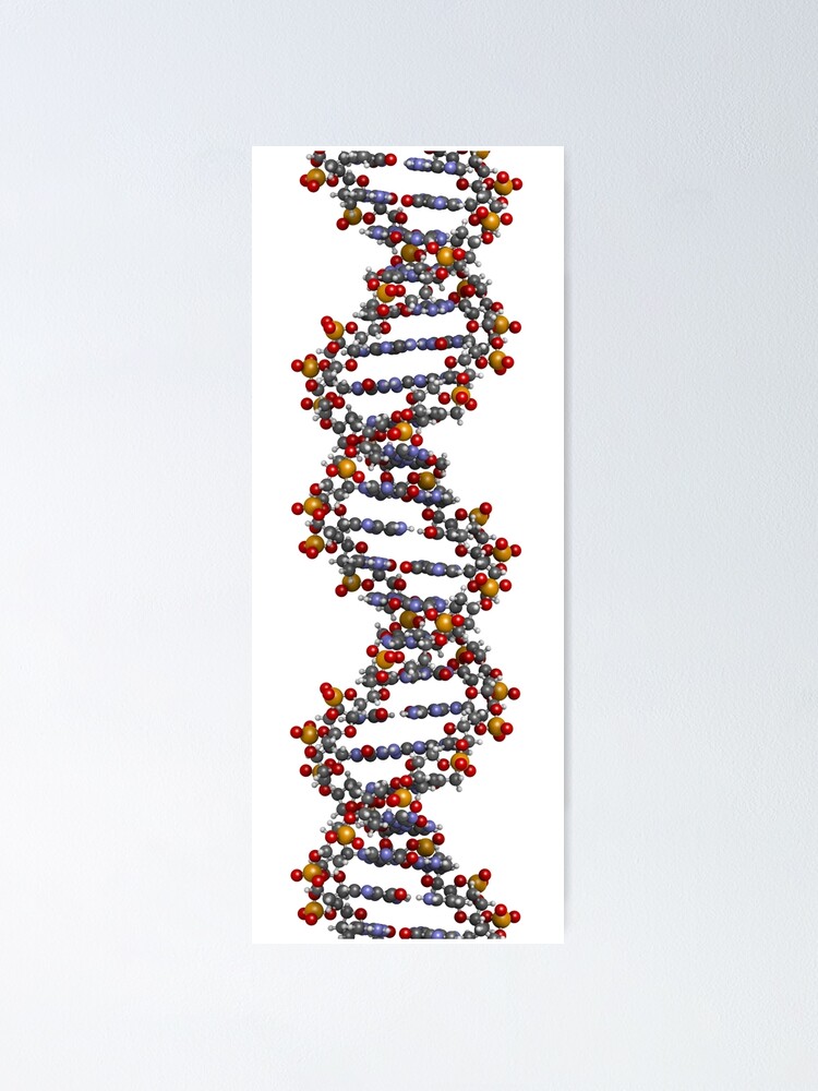 "DNA structure" Poster by molekuul | Redbubble