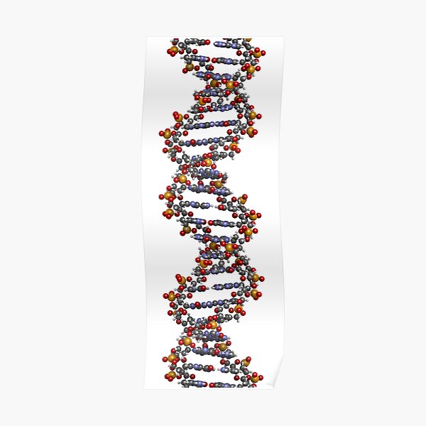 "DNA structure" Poster by molekuul | Redbubble