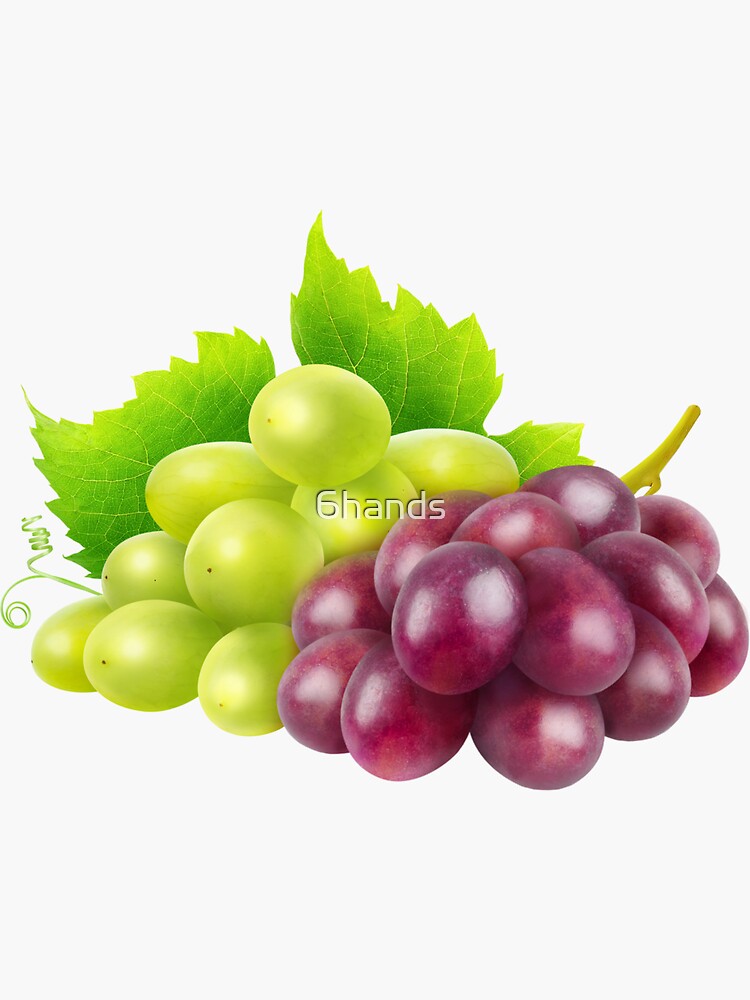 "Grapes" Sticker by 6hands | Redbubble