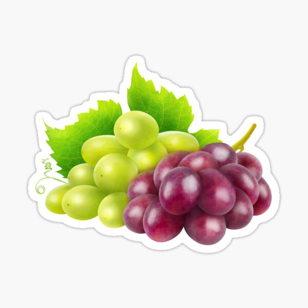 "Grapes" Sticker by 6hands | Redbubble