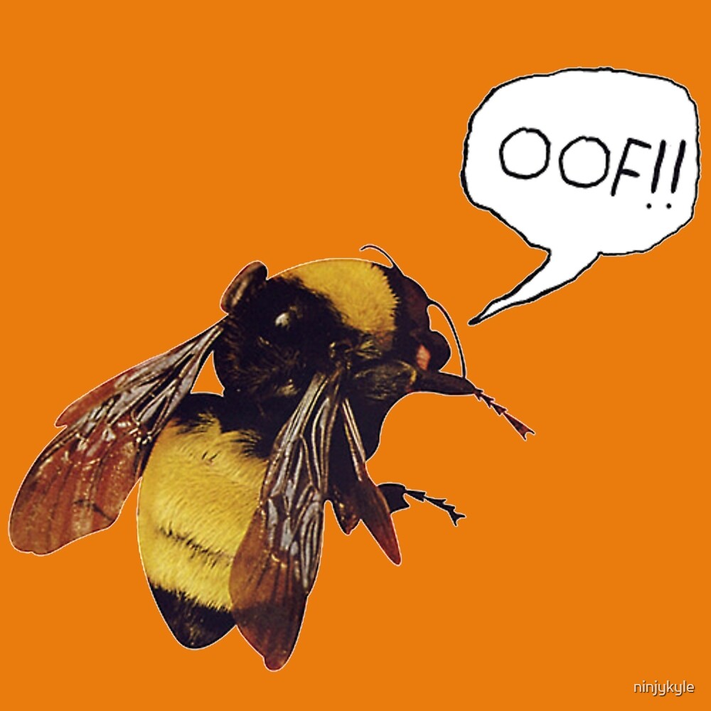 "Tyler the Creator OOF Bee" by ninjykyle | Redbubble