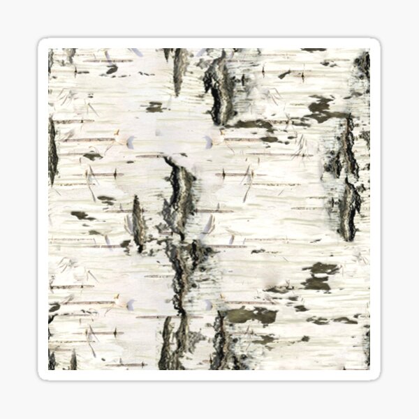 "Birch Bark" Sticker for Sale by spacerocket | Redbubble