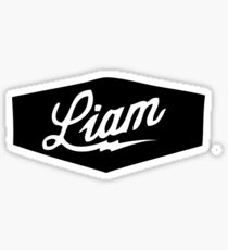 Liam Payne: Stickers | Redbubble