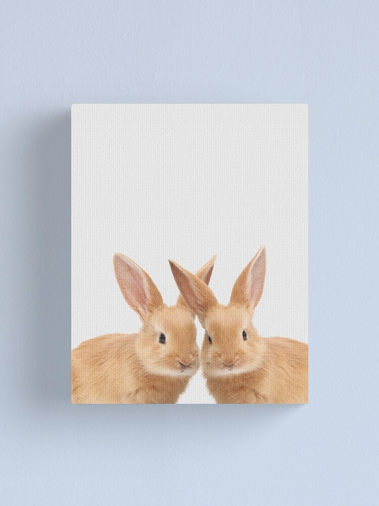 "Twin rabbit art prints, twin baby bunny, rabbit nursery art, nursery ...